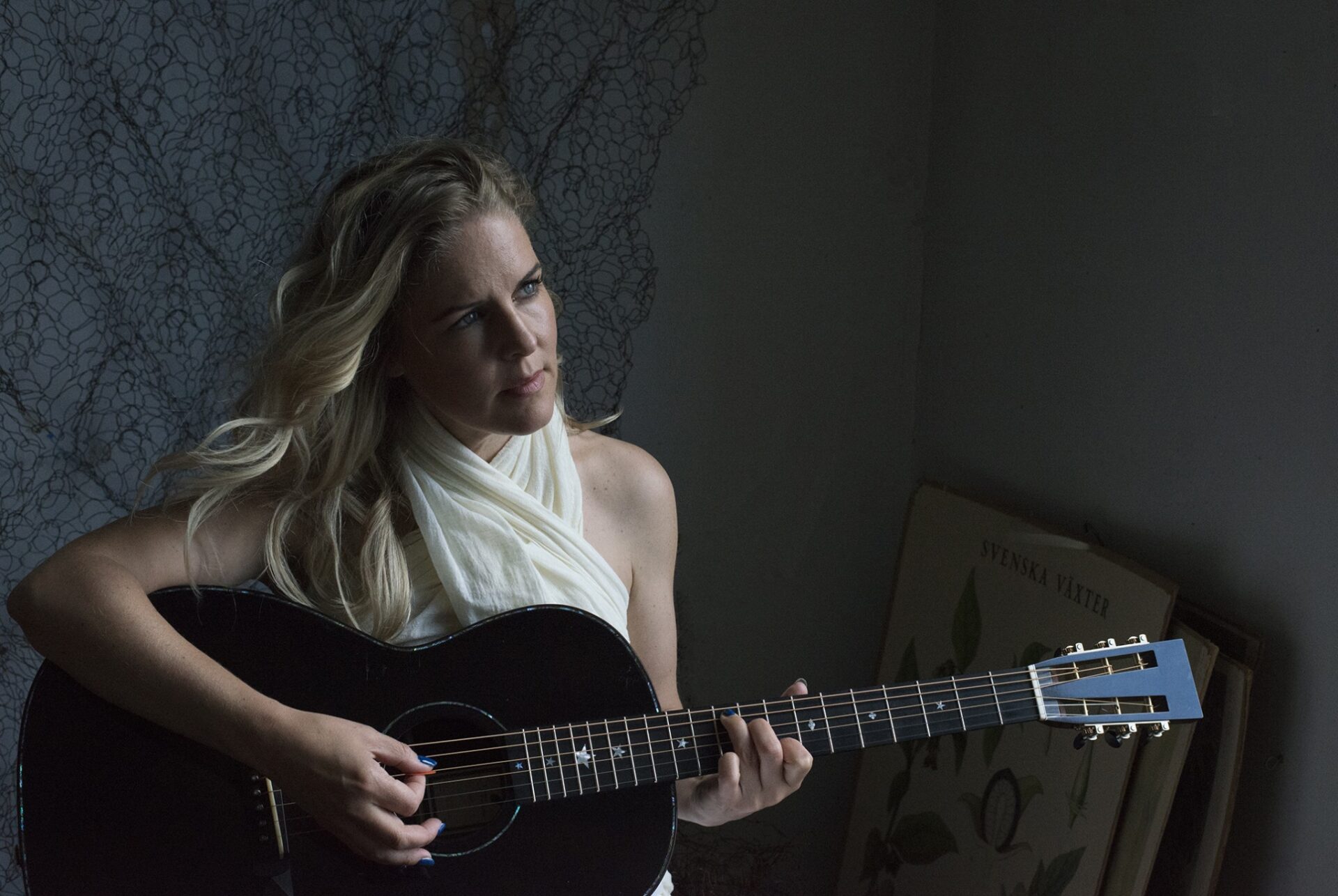 Musica Vitae och Sofia Karlsson - Musik i Syd