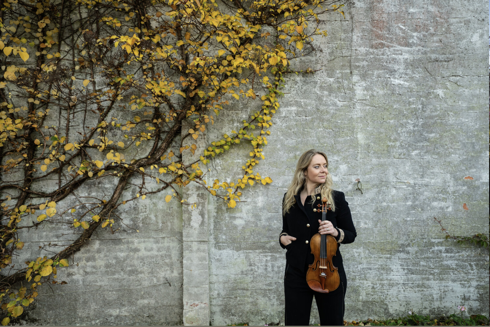 Startsida - Musica Vitae